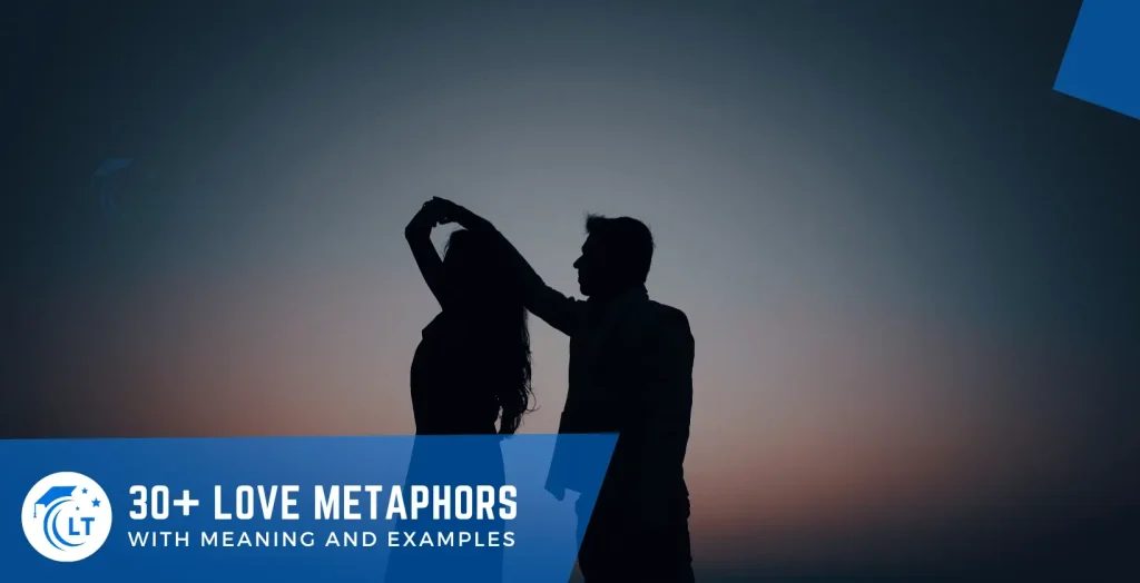 Analogy Love Examples The Art Of The Metaphor Jane Hirshfield