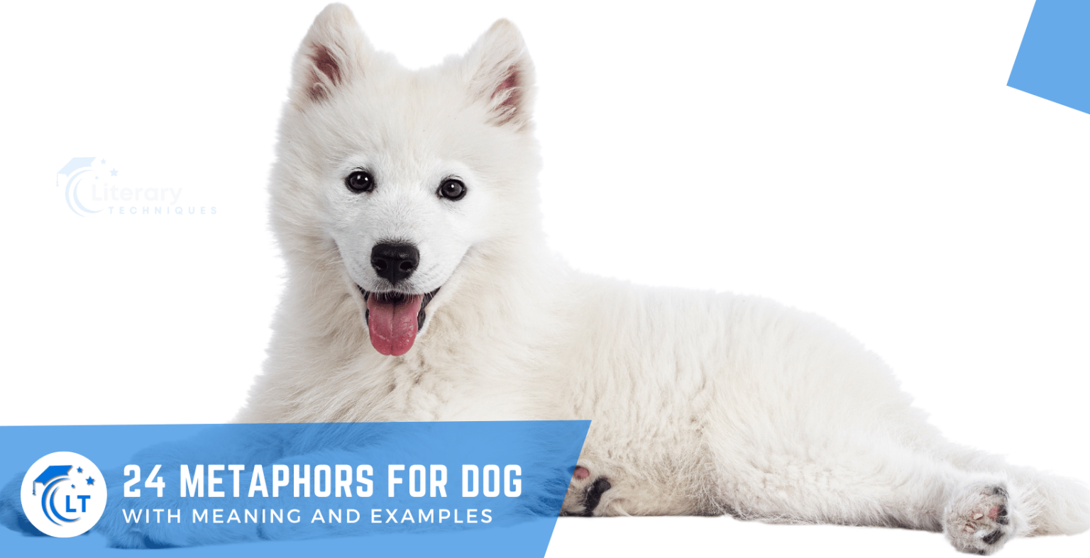 24 Dog Metaphors With Meaning And Examples - Literary Techniques