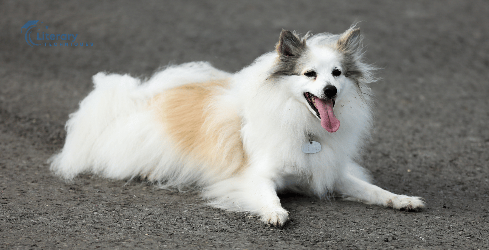 24 Dog Metaphors With Meaning And Examples - Literary Techniques